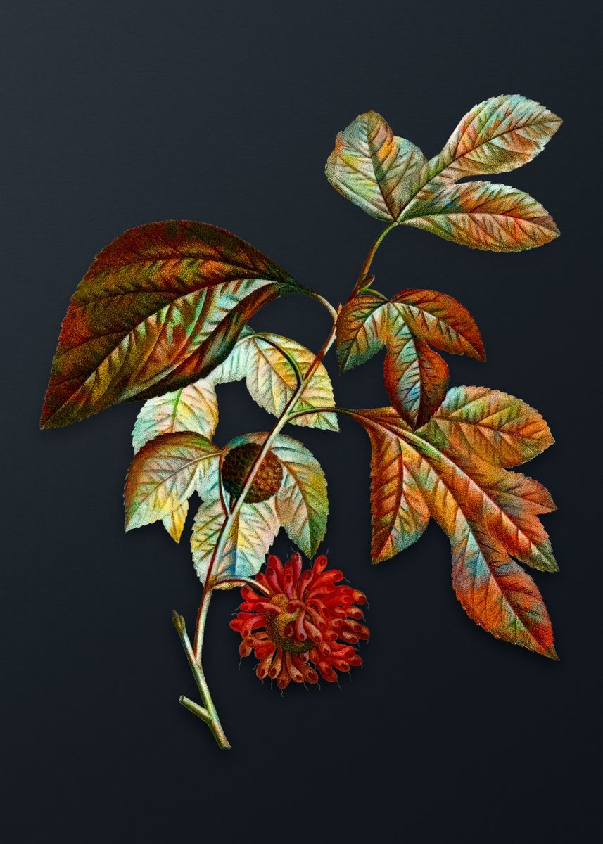 'Paper Mulberry Flower' Poster, picture, metal print, paint by Holy ...