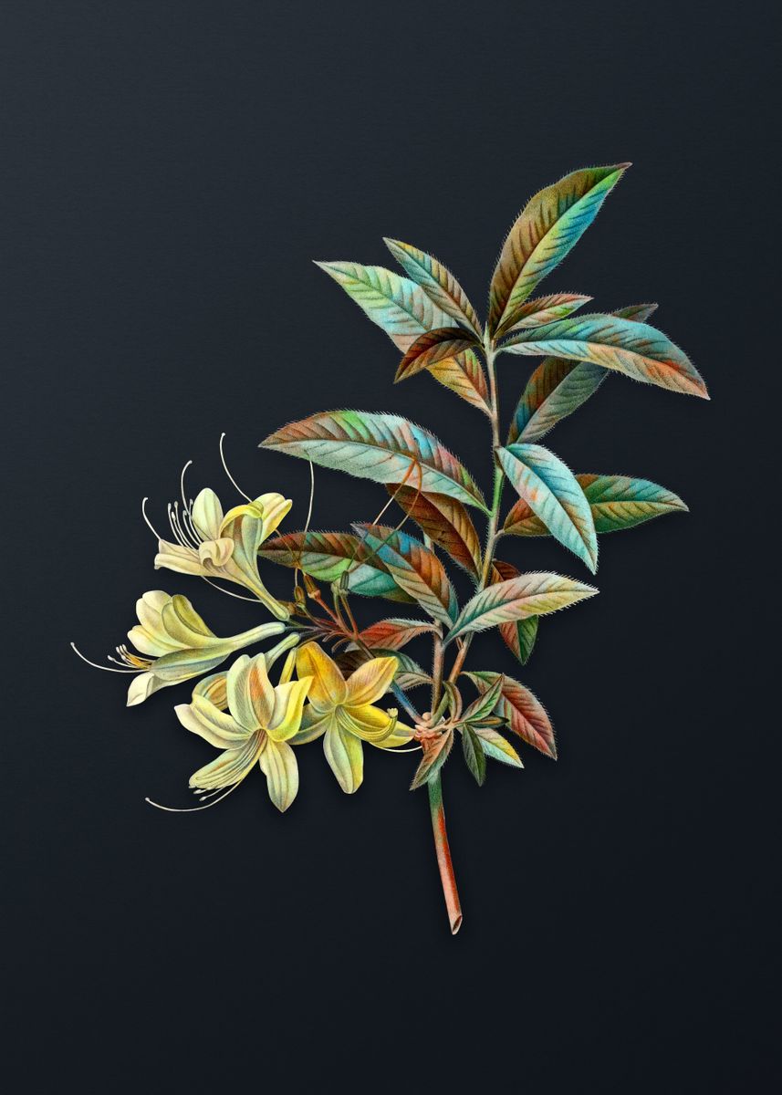 'Yellow Azalea Flower' Poster, picture, metal print, paint by Holy Rock ...