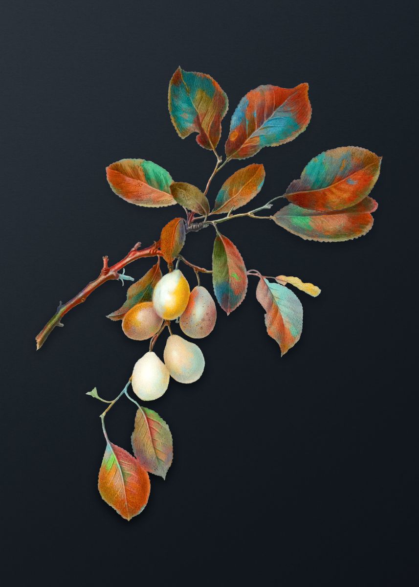 'Vintage Cherry on Gray' Poster by Holy Rock Design | Displate