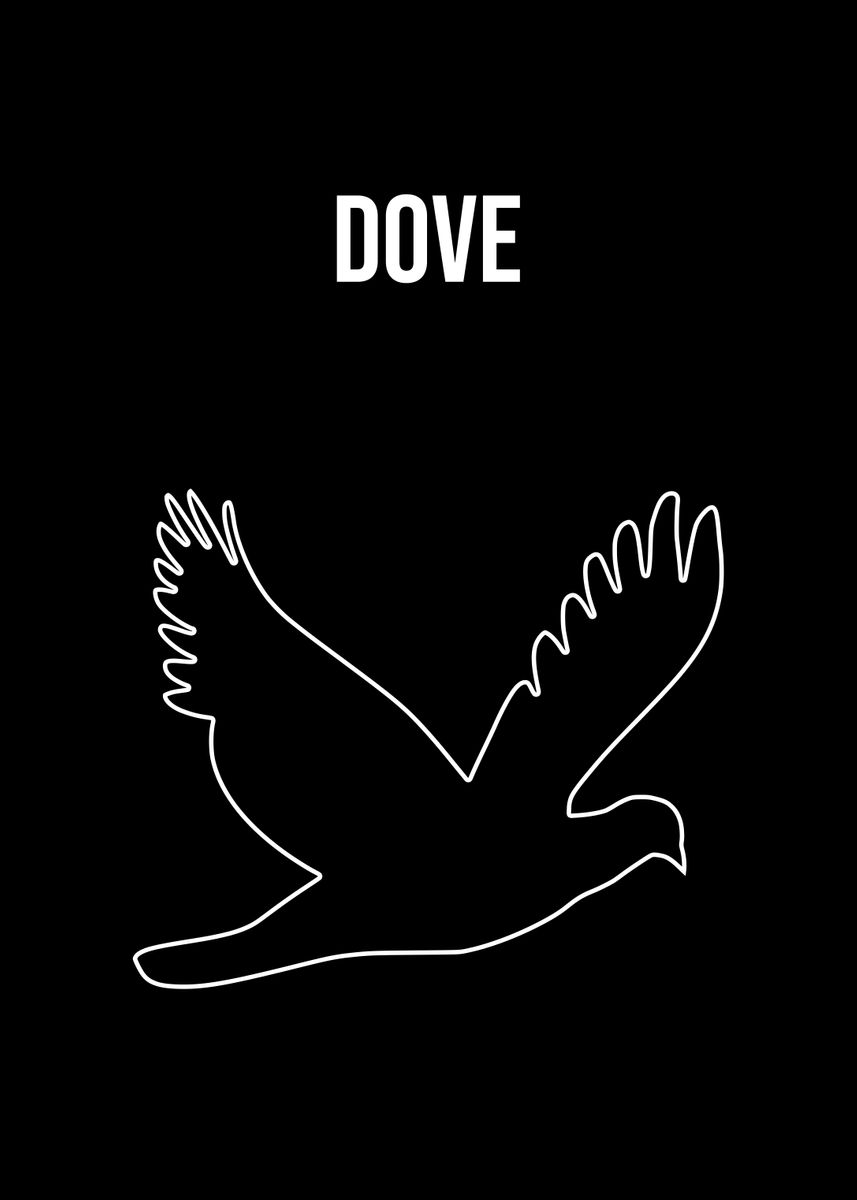 'Dove' Poster, picture, metal print, paint by Lenny | Displate