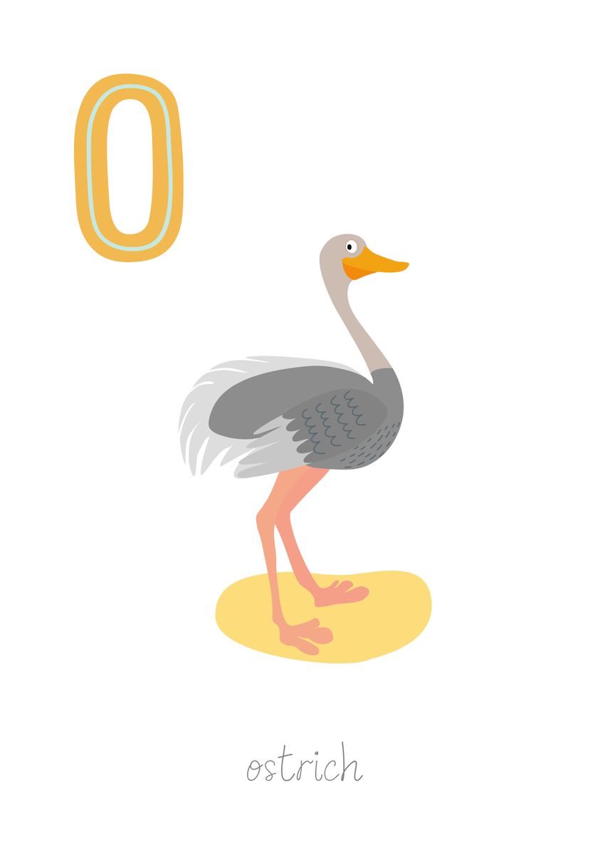 'Animal Alphabet O Ostrich' Poster, picture, metal print, paint by ...