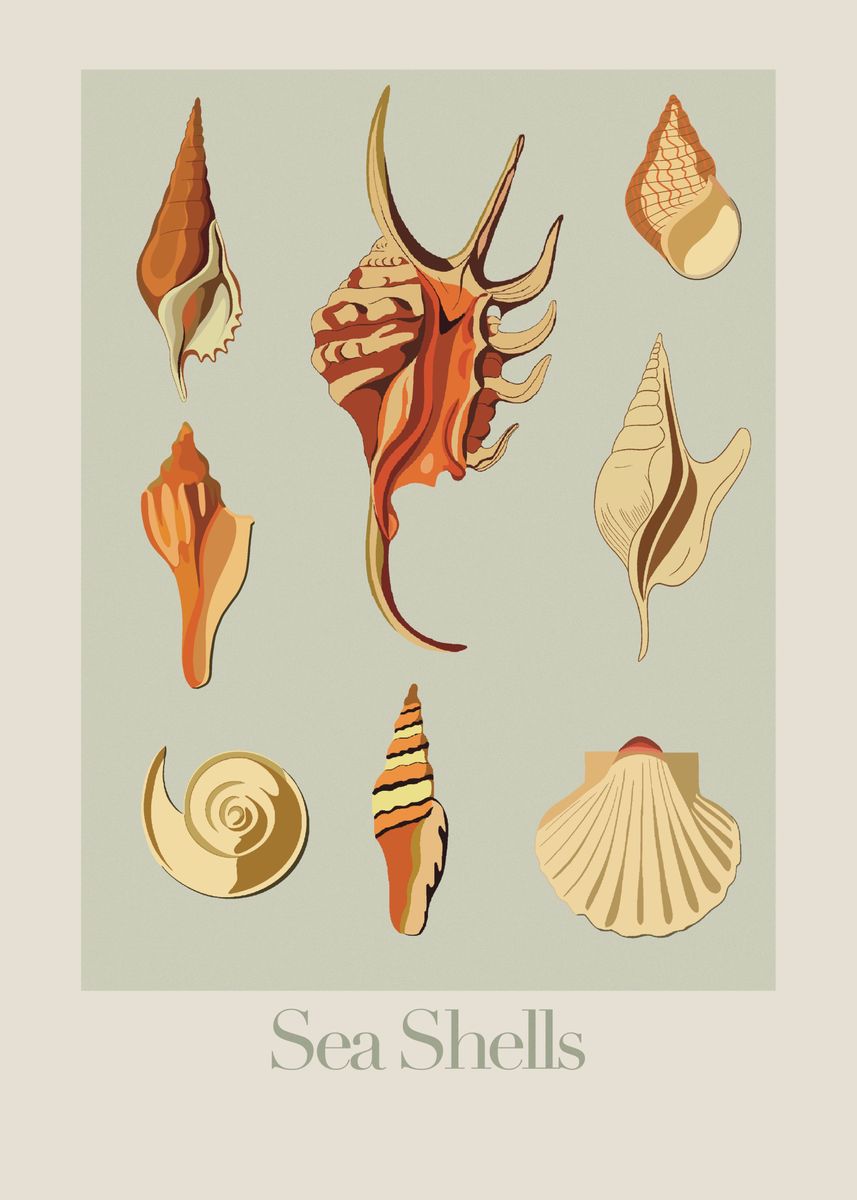 'Retro Sea Shells' Poster by holailustra | Displate