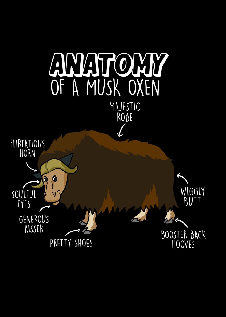 'Musk Oxen Anatomy Gift' Poster by Hexor | Displate