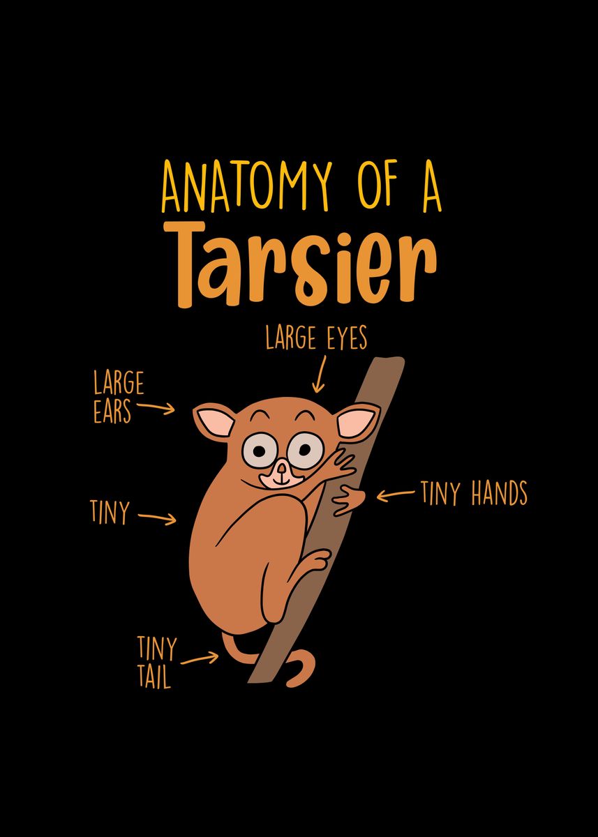 'Tarsier Anatomy Gift' Poster, picture, metal print, paint by Hexor ...