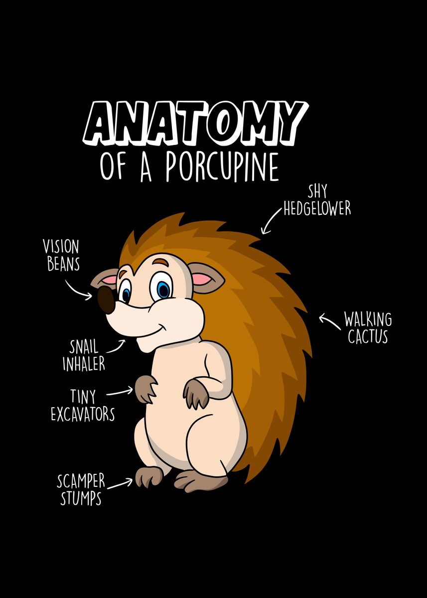 'Porcupine Anatomy Gift' Poster, picture, metal print, paint by Hexor ...