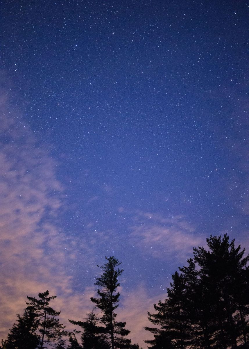 'Night Sky' Poster, picture, metal print, paint by Conceptual ...