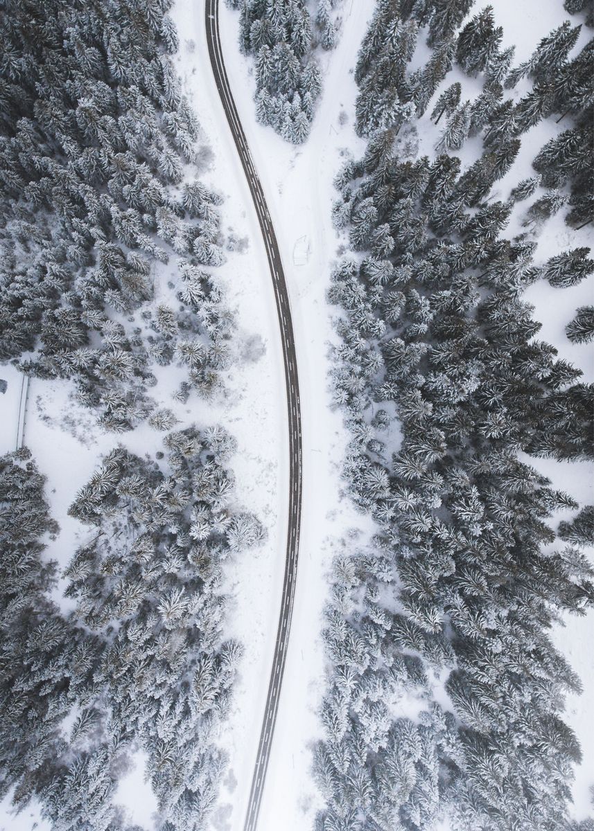 'Frozen Path' Poster, picture, metal print, paint by Conceptual ...