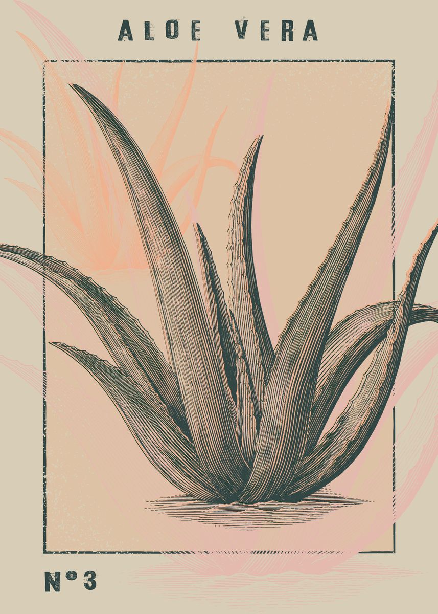 'Aloe Vera' Poster, picture, metal print, paint by BluePinkPanther ...