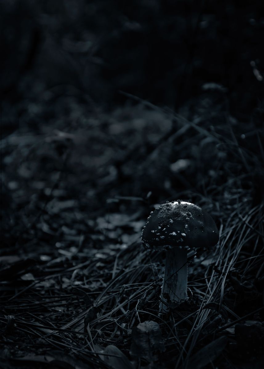 'Gothic Nature 18' Poster, picture, metal print, paint by Cesar Torres ...