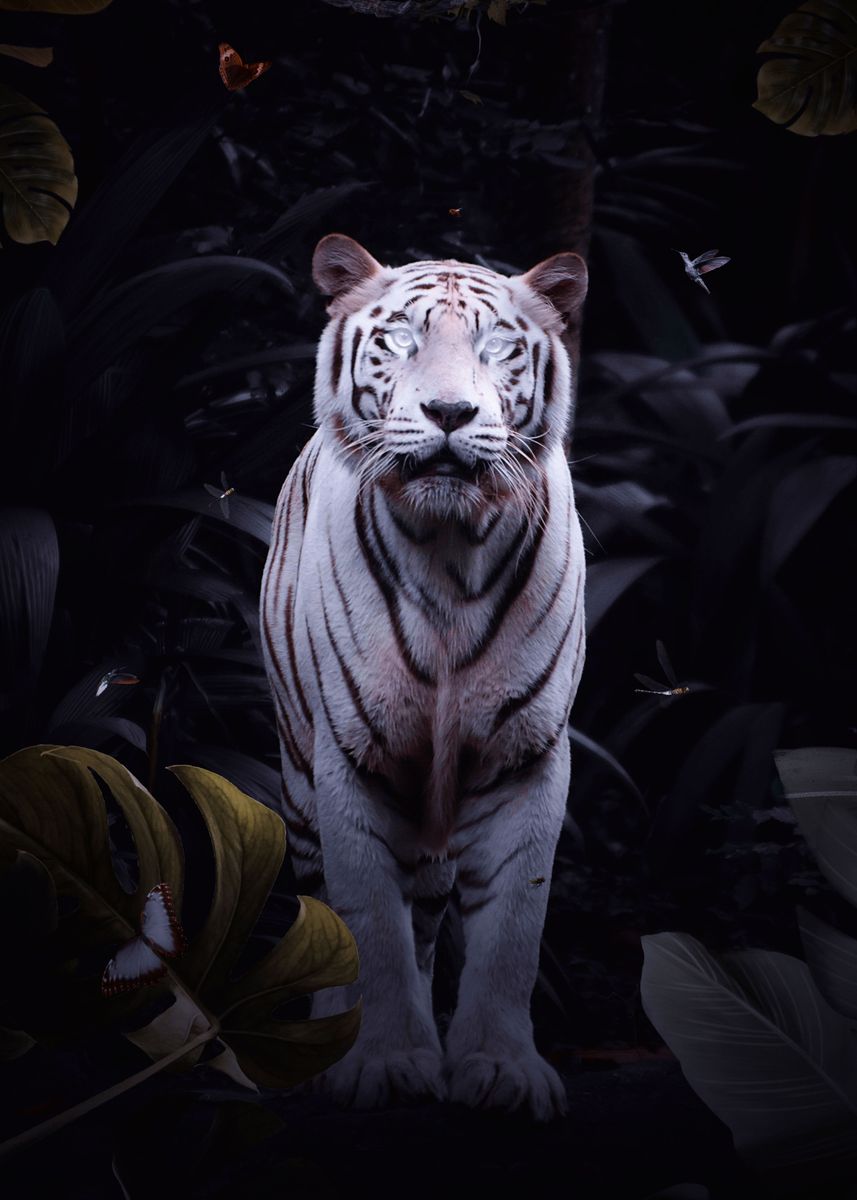 'White tiger bright eyes' Poster, picture, metal print, paint by Gen Z ...