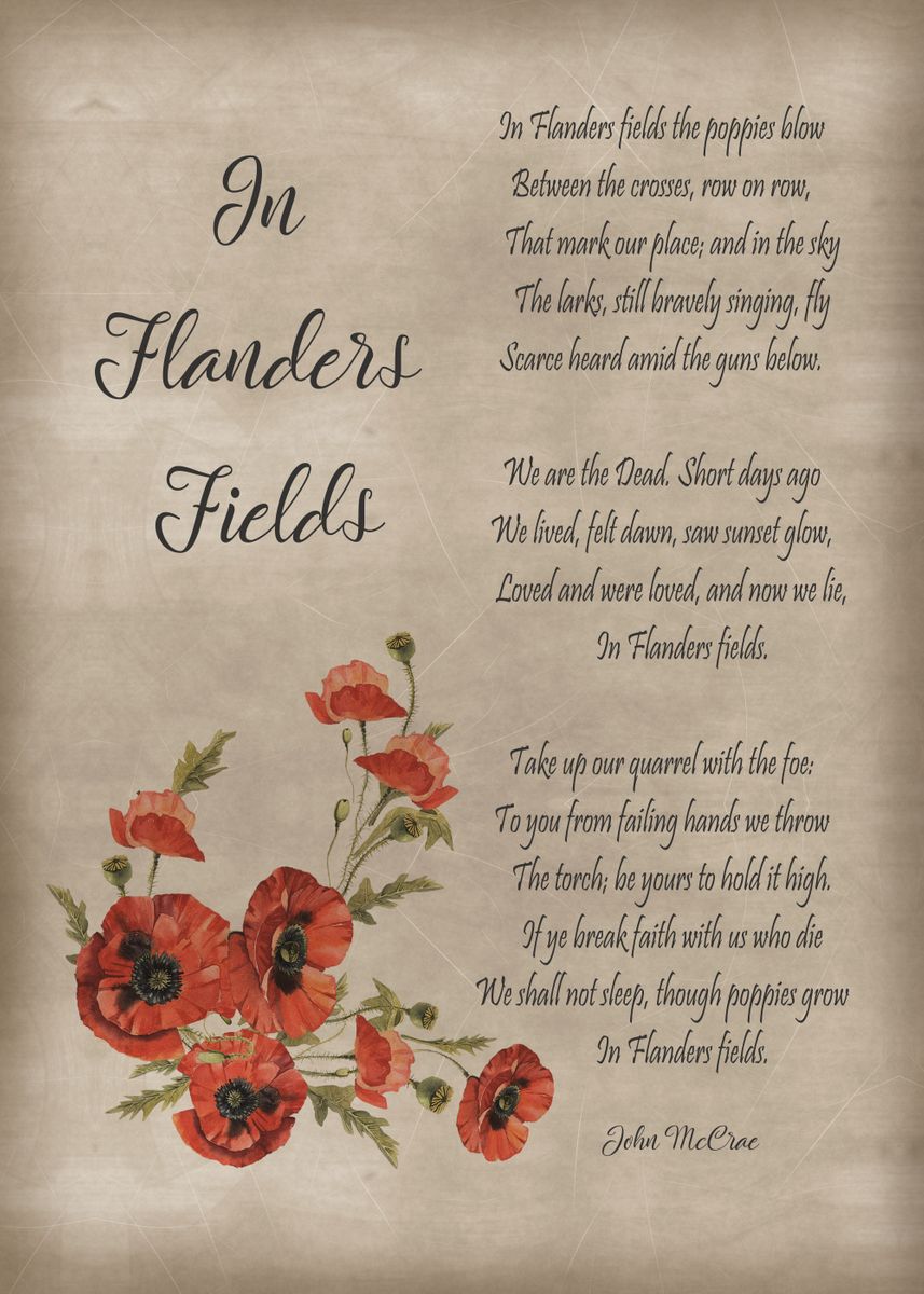 'In Flanders Fields Poem' Poster, picture, metal print, paint by ...