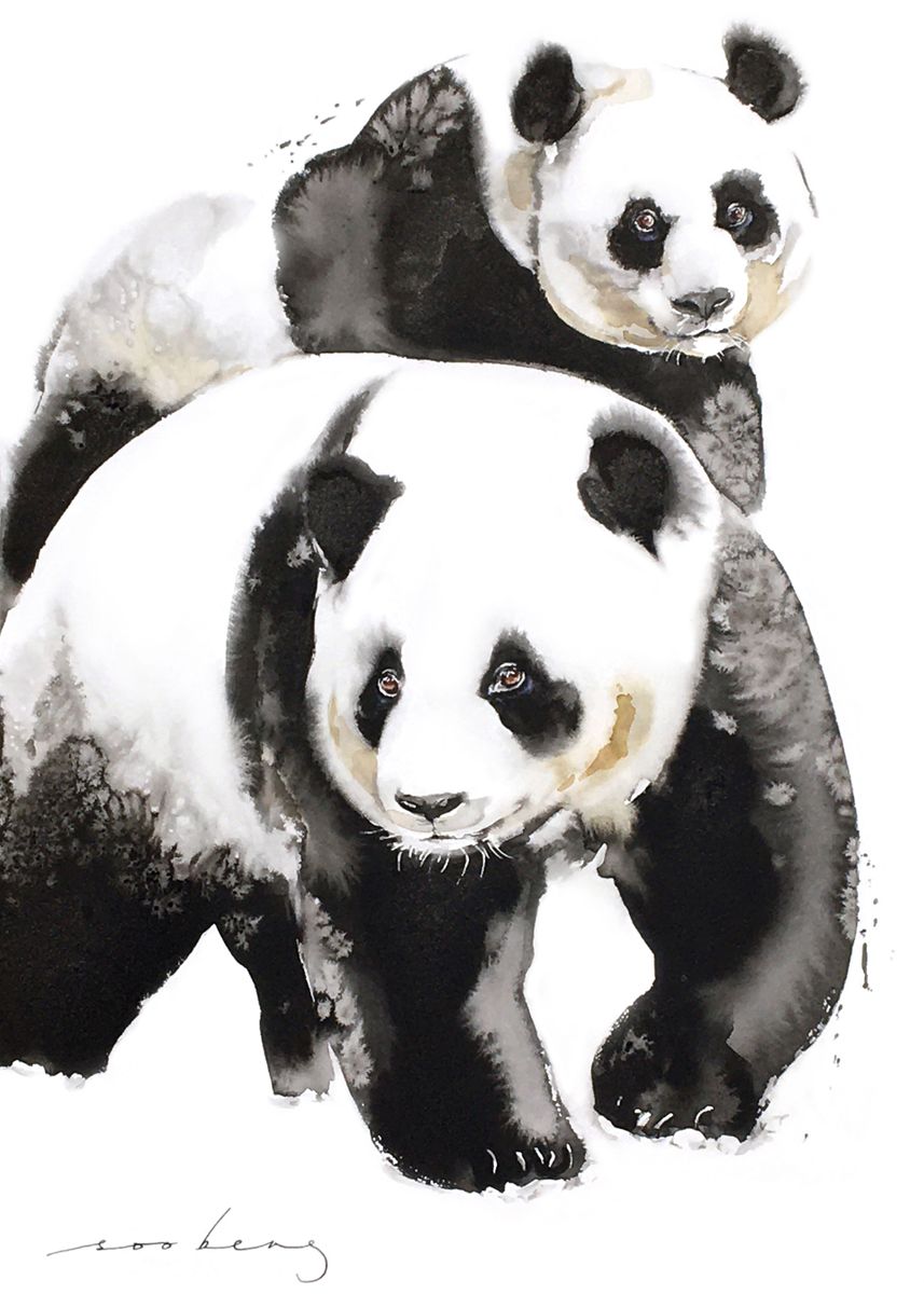 'Panda Pair2' Poster by Soo Beng Lim | Displate