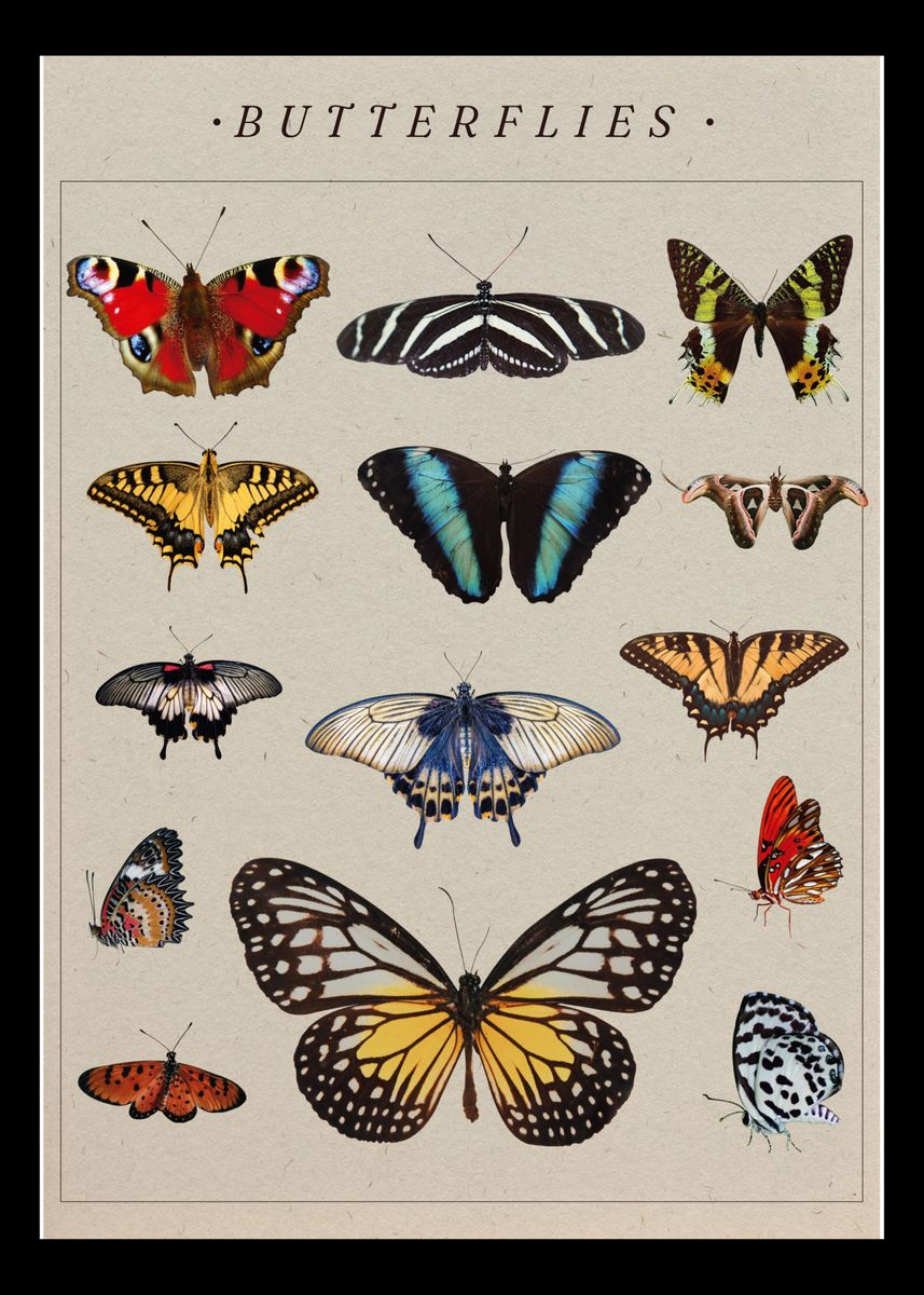 'Butterflies poster' Poster, picture, metal print, paint by Artbe ...