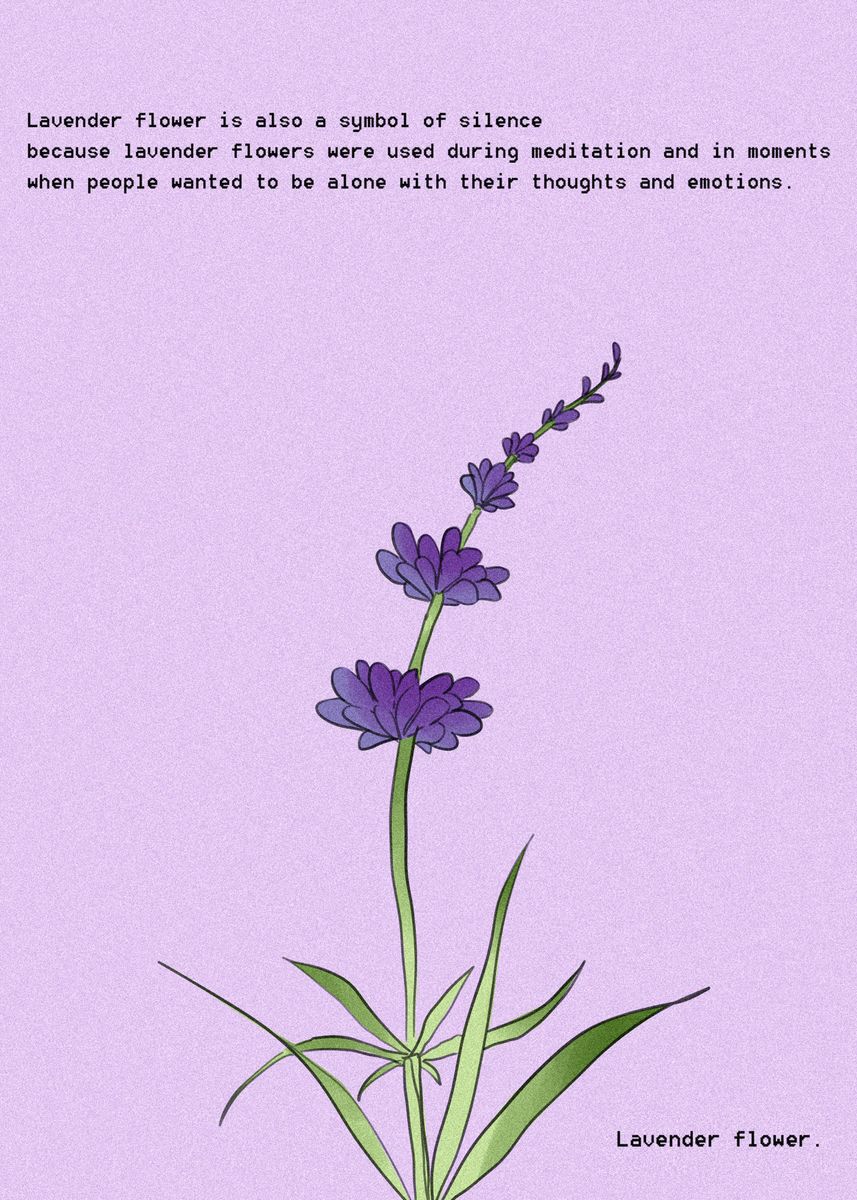 'what is lavender' Poster, picture, metal print, paint by eunoia | Displate