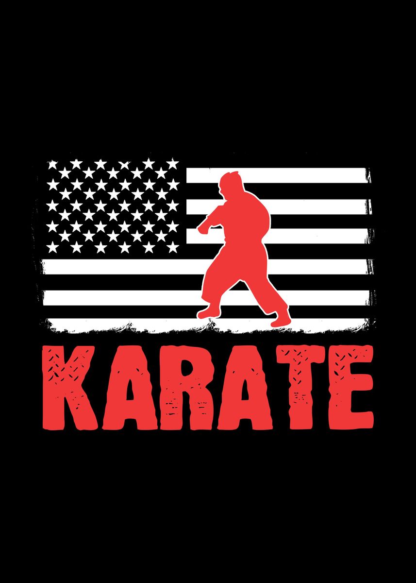 'American Flag Karate' Poster, picture, metal print, paint by ...
