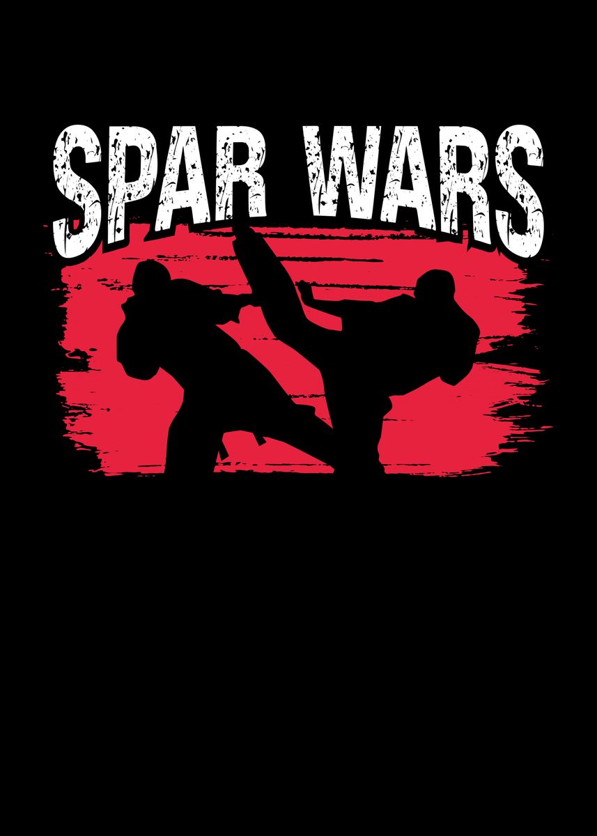'Spar wars martial arts' Poster, picture, metal print, paint by BeMi ...