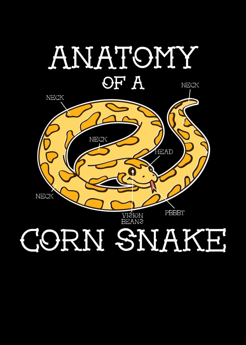 'Anatomy Of A Corn Snake' Poster, picture, metal print, paint by Uwe ...