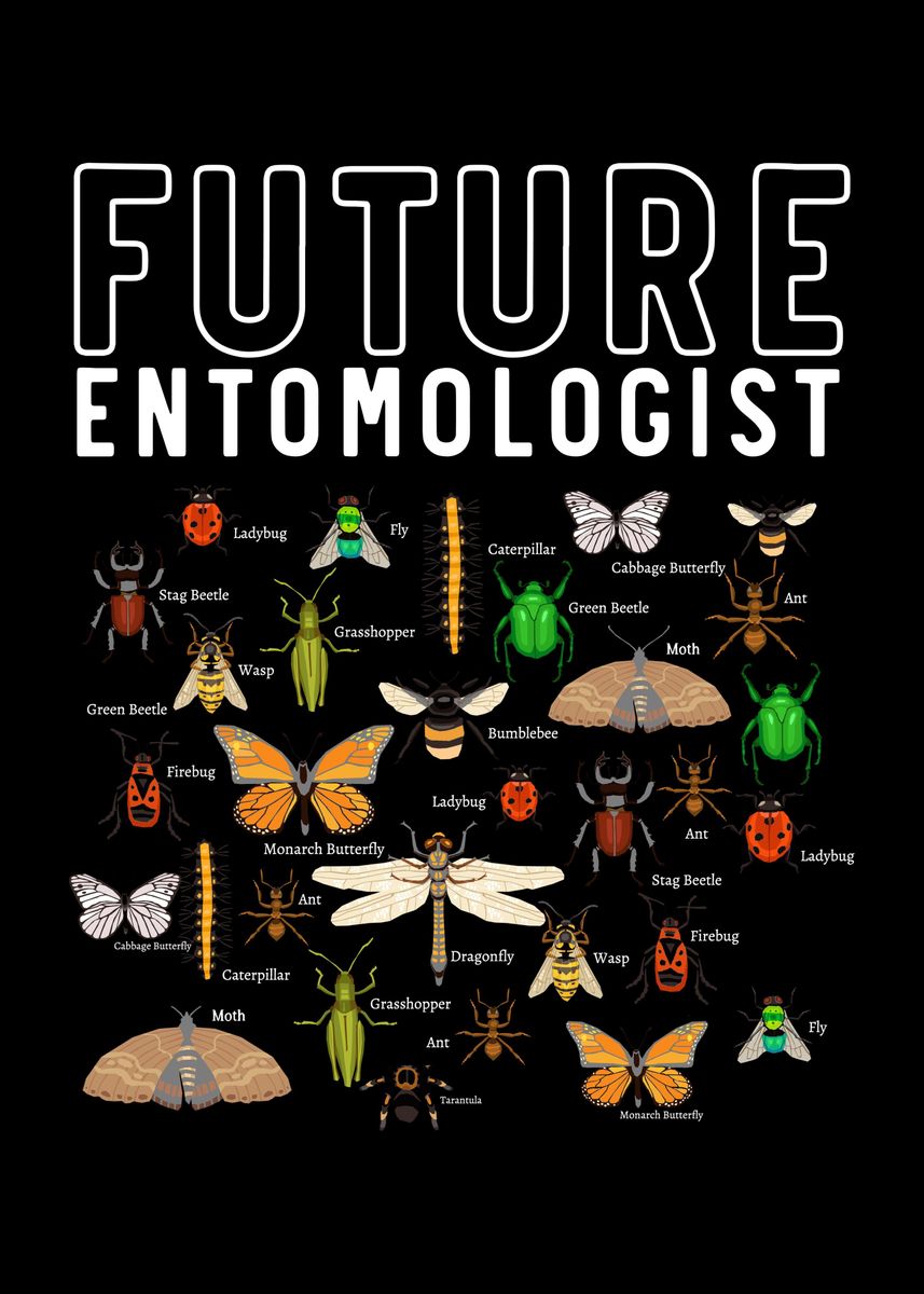 'Future Entomologist' Poster by professionaldesigns | Displate