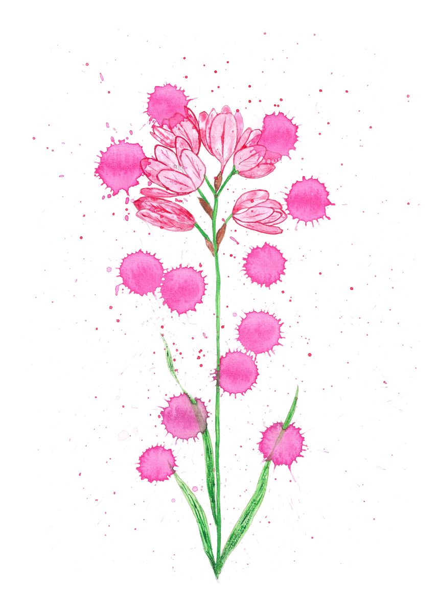 'Pink Ixia Flowers' Poster, picture, metal print, paint by Cesar Torres ...