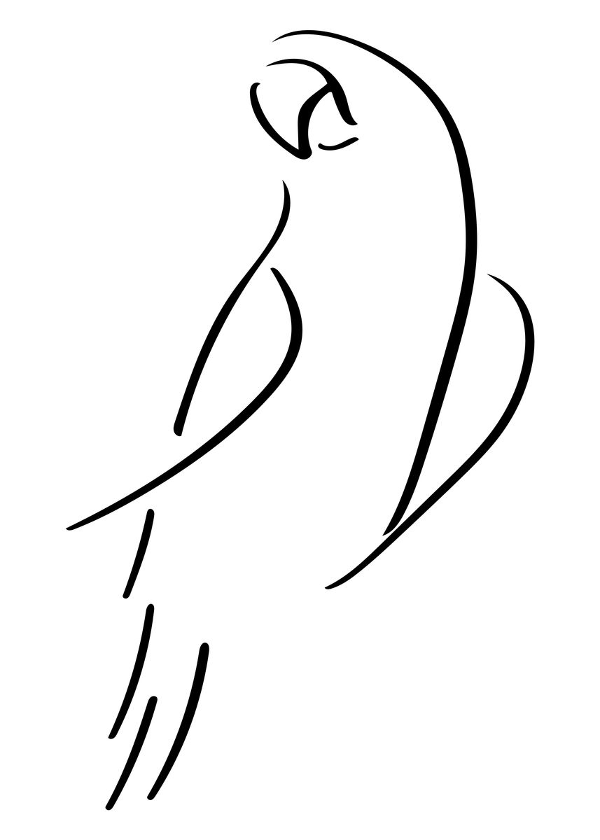 'Parrot Line Art Minimal' Poster, picture, metal print, paint by Chris ...