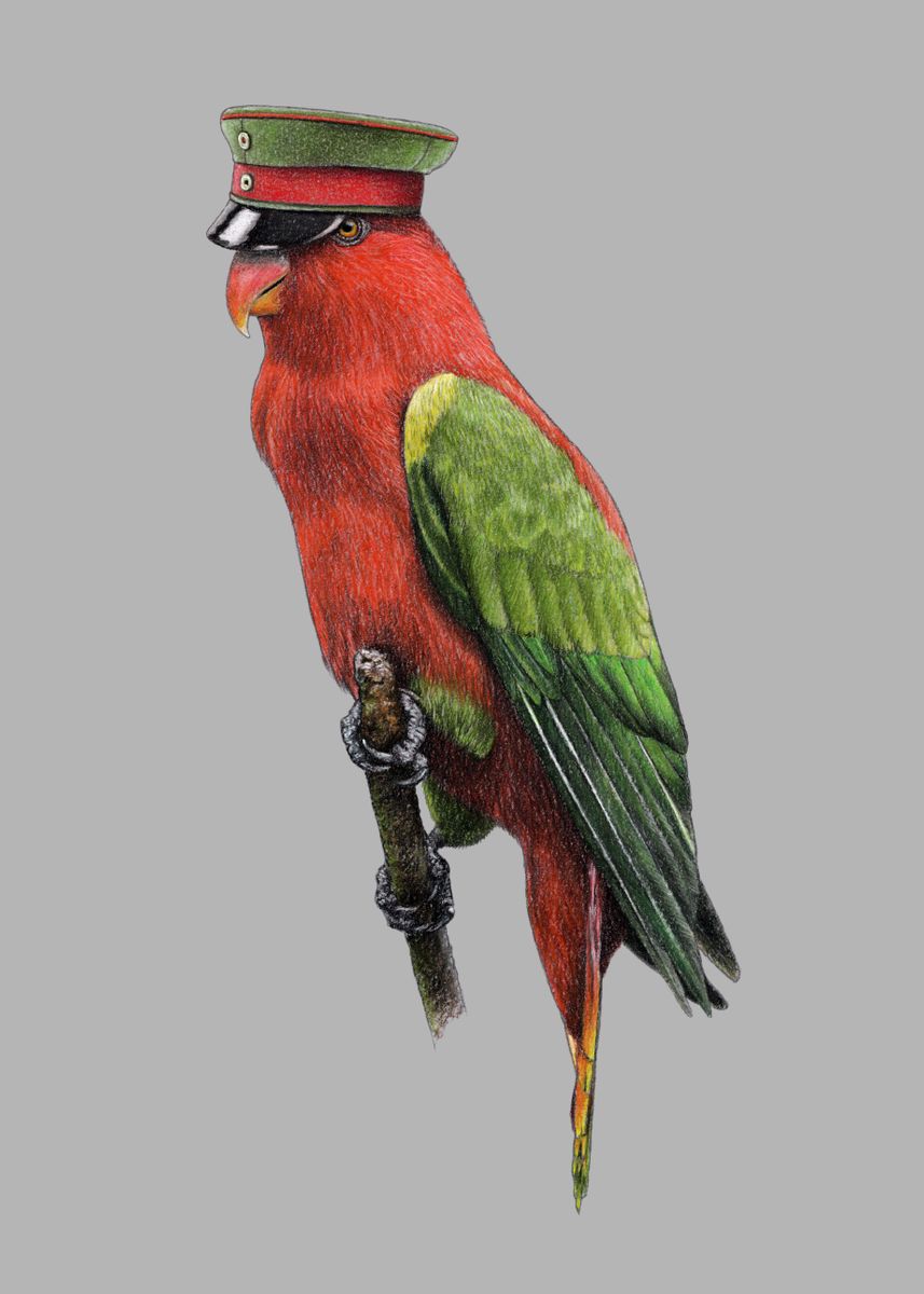 'Chattering lory' Poster, picture, metal print, paint by Mikhail ...