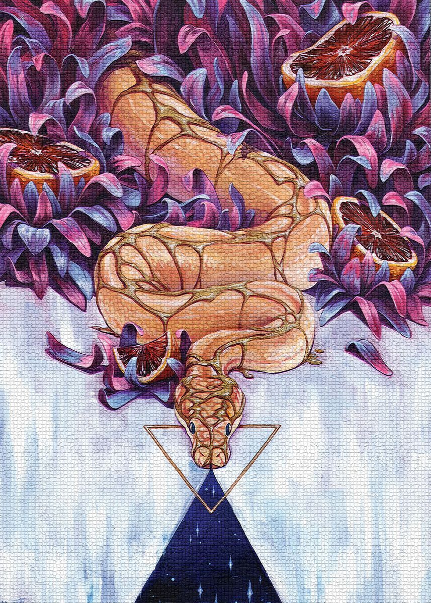 'The sweetness of the pytho' Poster, picture, metal print, paint by ...