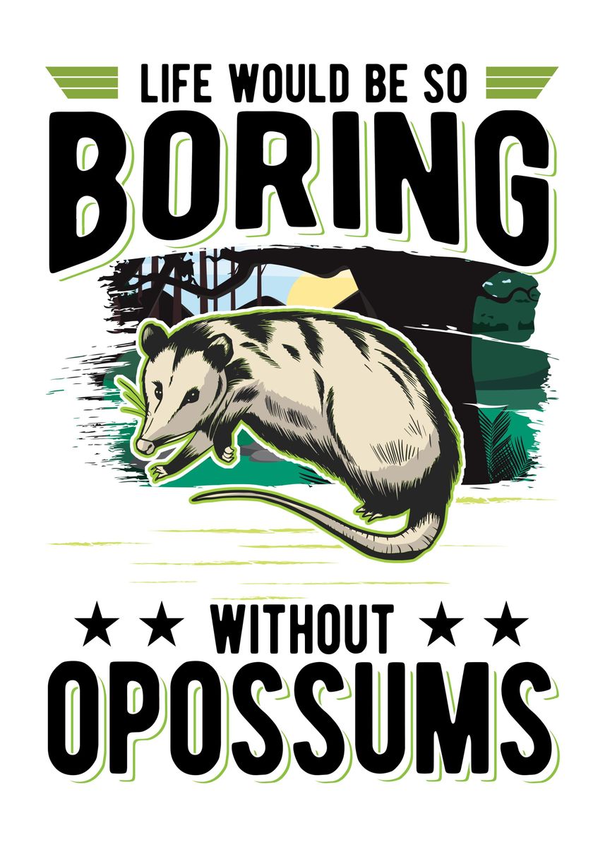 'Opossum Gift Possum' Poster, picture, metal print, paint by ...