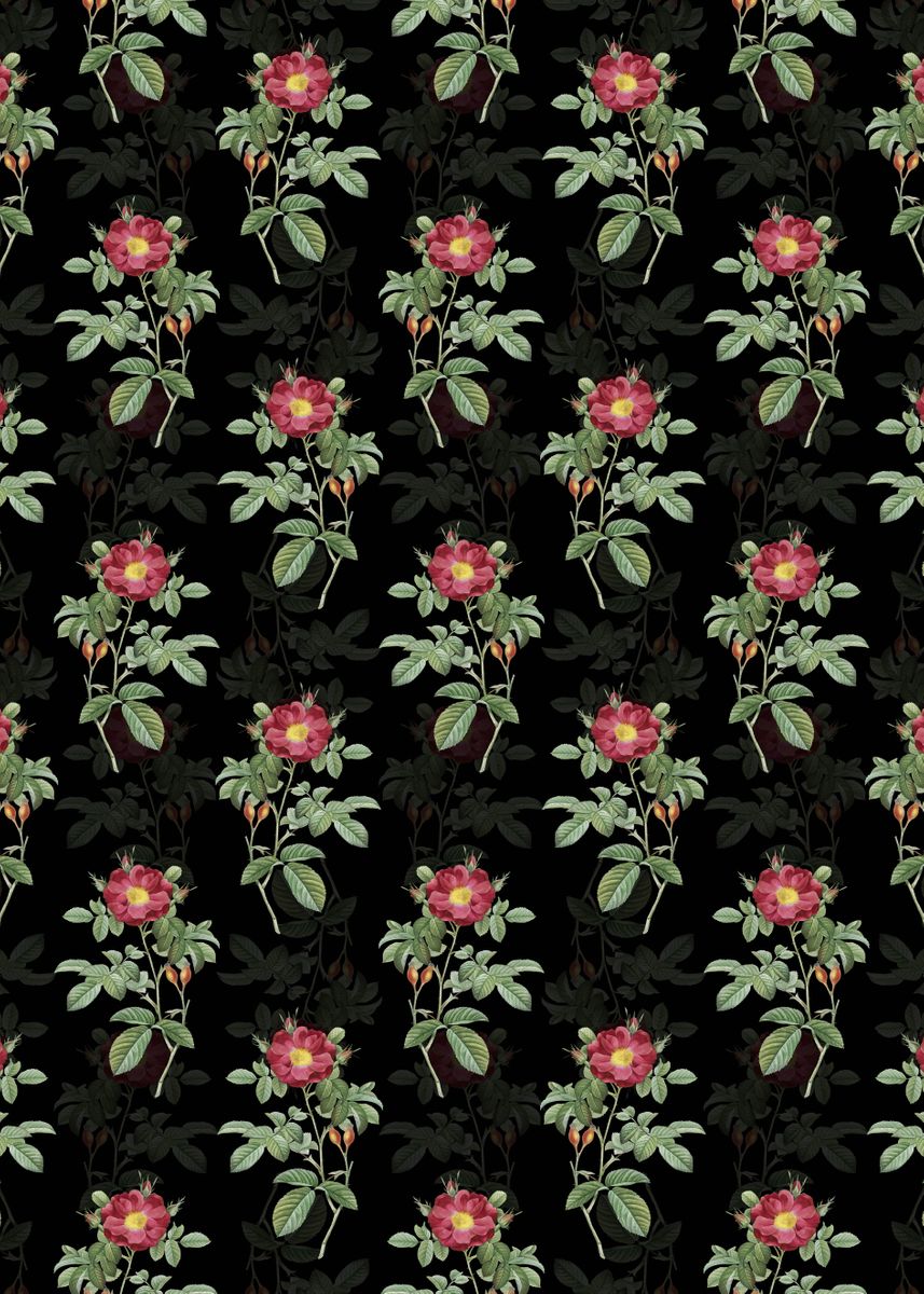 'Red Portland Rose Pattern' Poster by Holy Rock Design | Displate