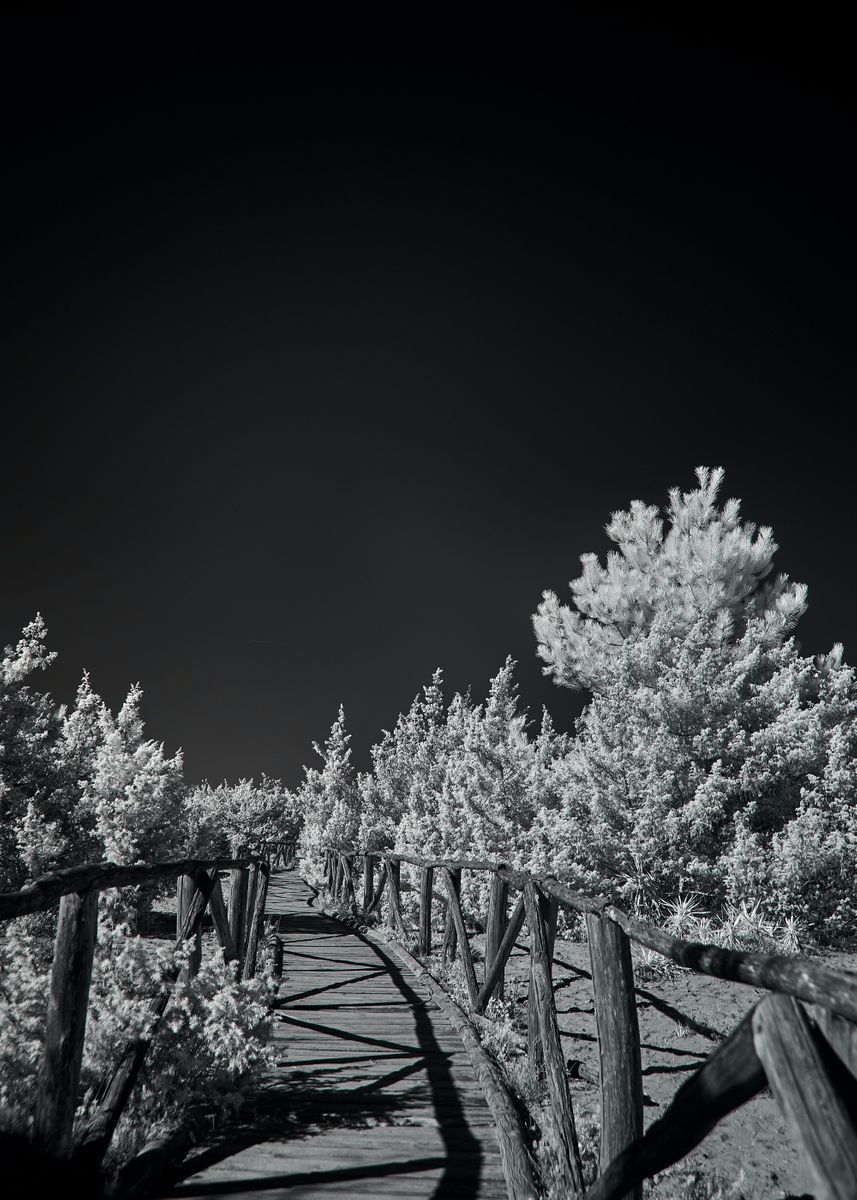 'Snow Bridge Crossing' Poster by Stephen Bredenkamp | Displate