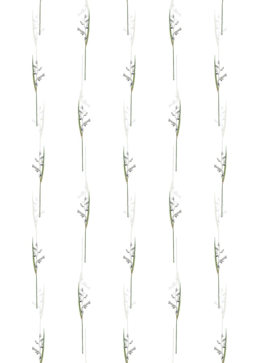 'Powdery Alligator Flag' Poster, picture, metal print, paint by Holy ...