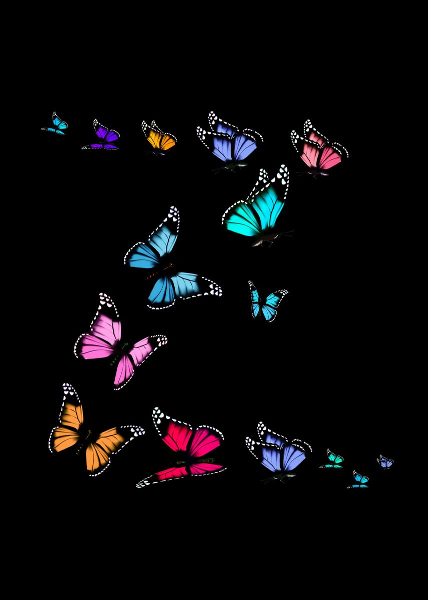 'Colorful Butterflies' Poster, picture, metal print, paint by ...