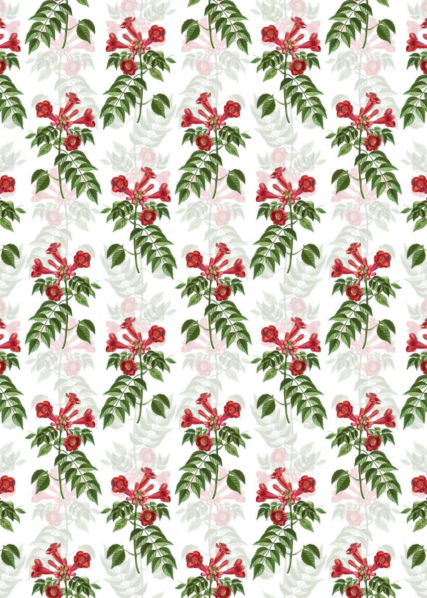 'White Trumpet Vine Pattern' Poster, picture, metal print, paint by ...