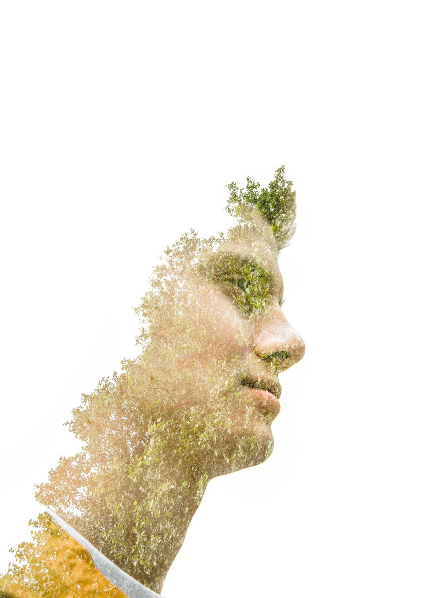 'The Vanishing' Poster by Stephen Bredenkamp | Displate