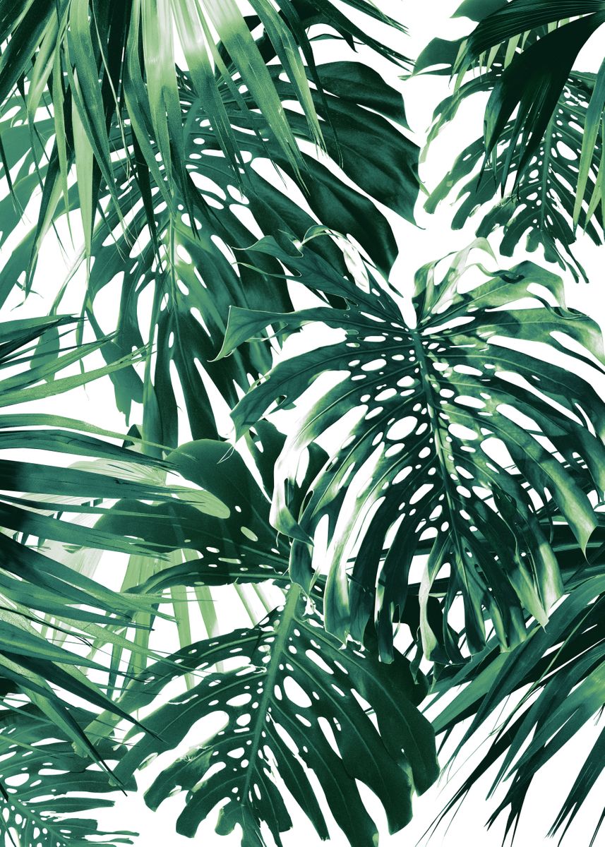 'Vivid Tropical Jungle 1 ' Poster by Anita's & Bella's Art | Displate