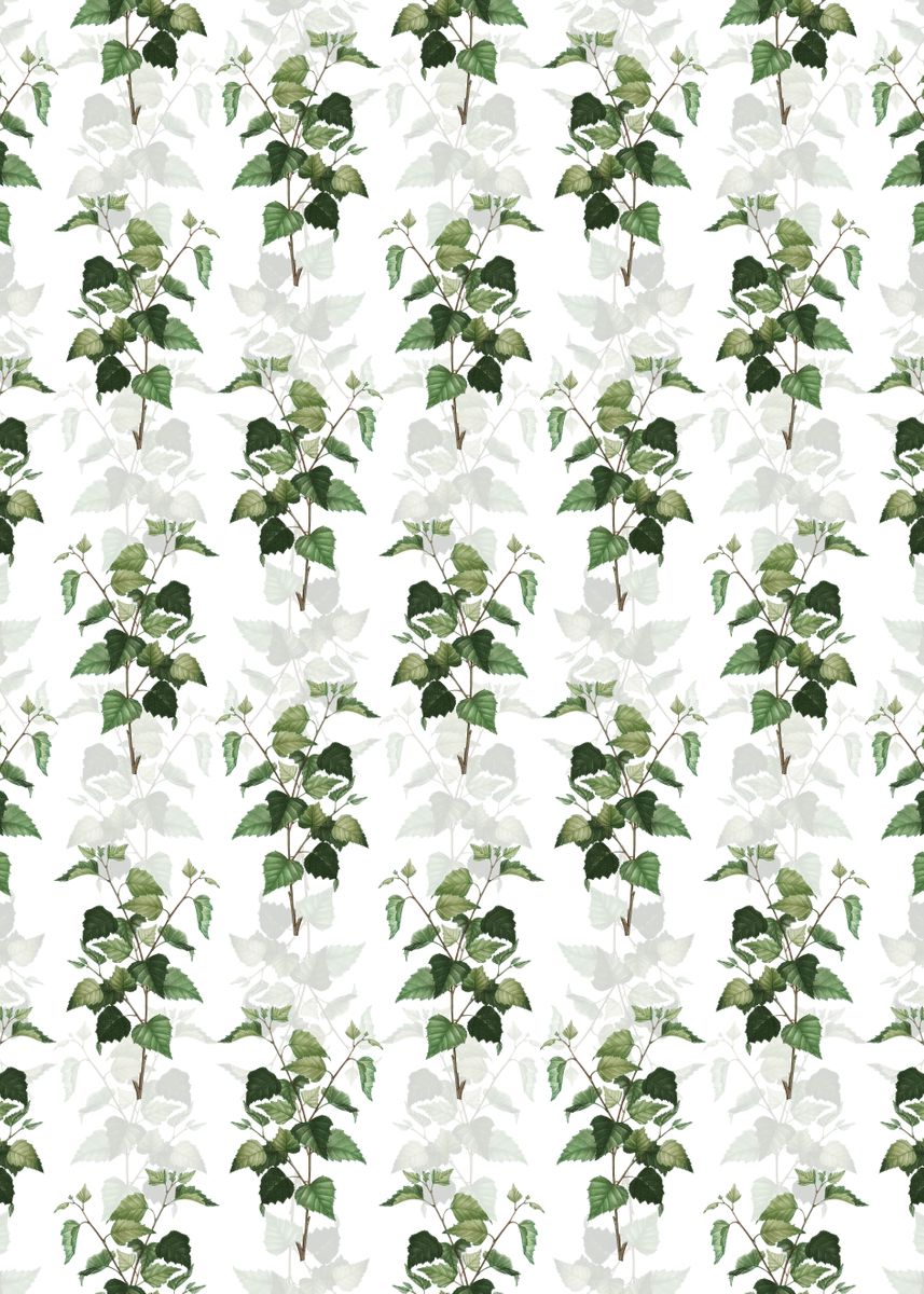 'White Silver Birch Pattern' Poster, picture, metal print, paint by ...