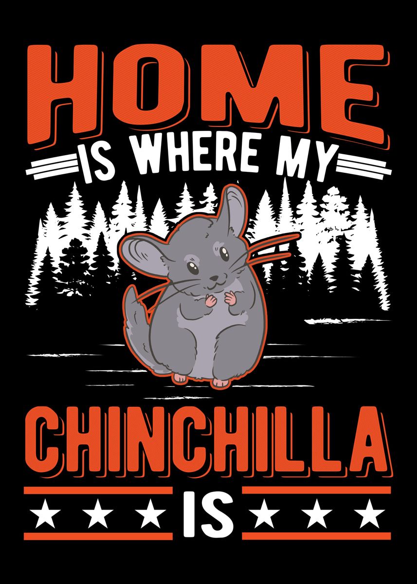 'Chinchilla Lover' Poster, picture, metal print, paint by ...