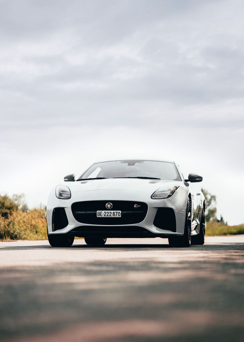 'Jaguar' Poster by FotobyTim | Displate