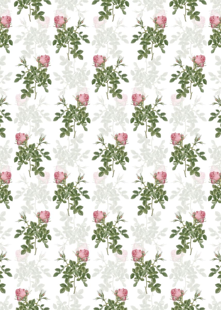 'Dwarf Damask Rose Pattern' Poster by Holy Rock Design | Displate