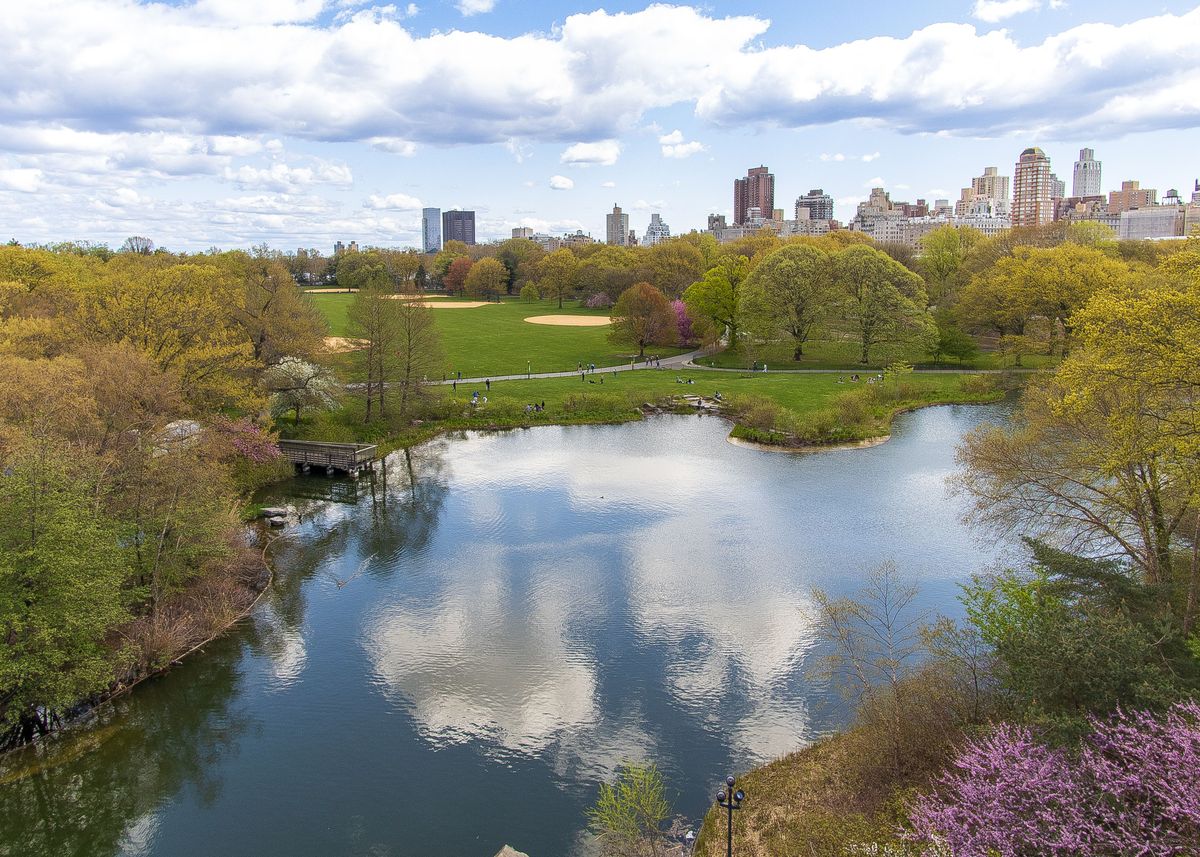 'Central Park' Poster by Pynot | Displate