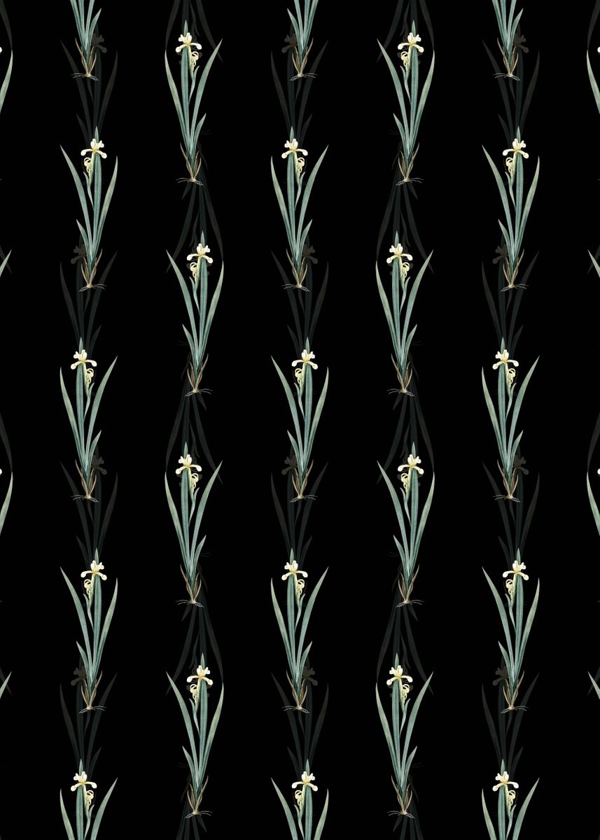 'Yellow Banded Iris Pattern' Poster, picture, metal print, paint by ...