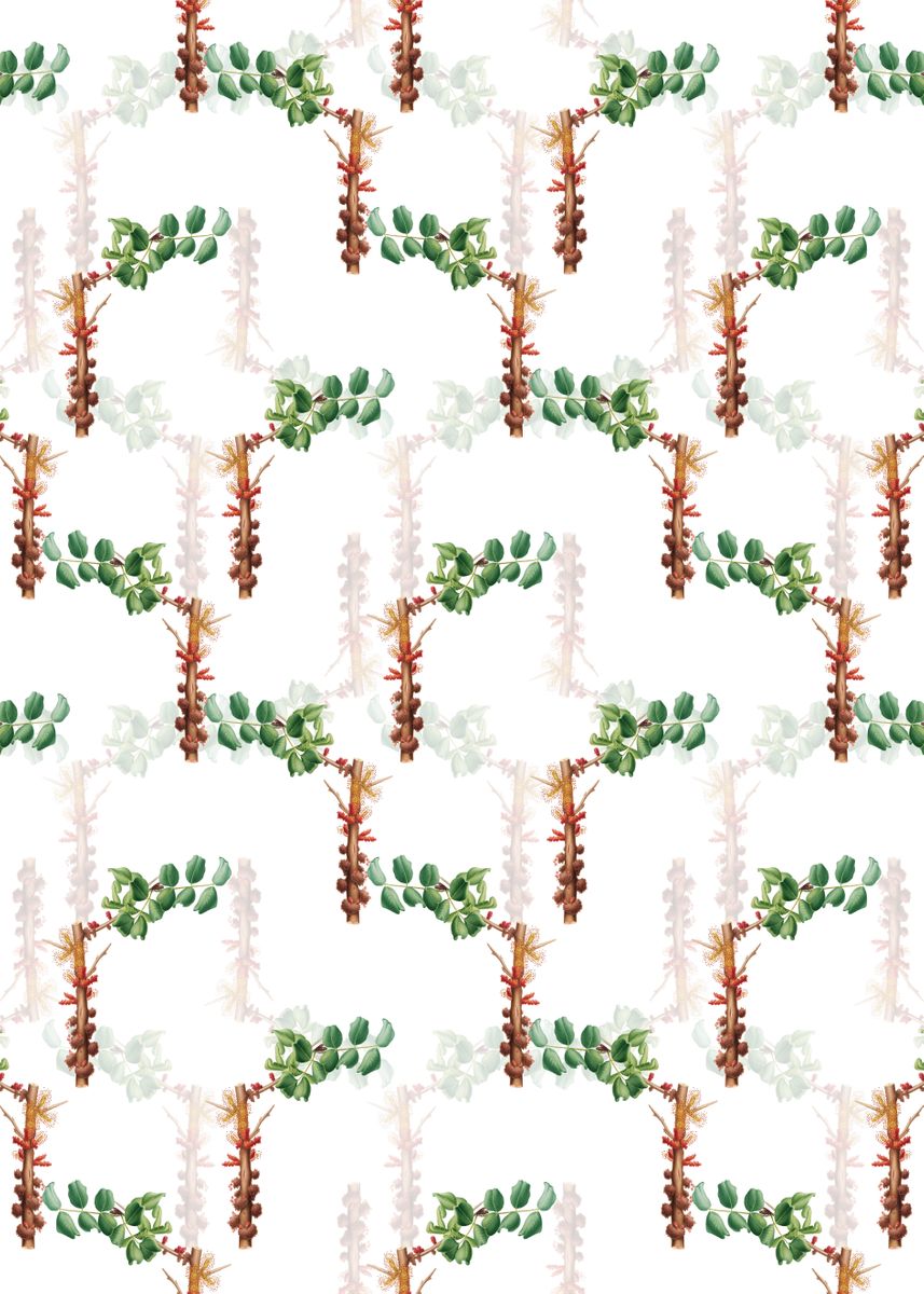 'White Carob Flower Pattern' Poster, picture, metal print, paint by ...