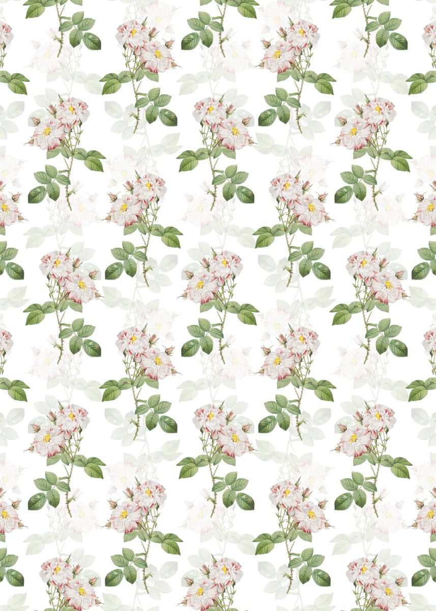 'White Damask Rose Pattern' Poster by Holy Rock Design | Displate