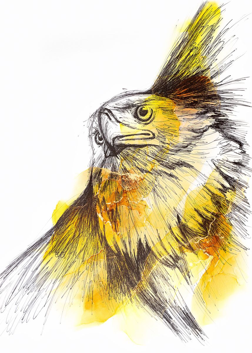 'Aquila' Poster, picture, metal print, paint by Olga Rogovets | Displate