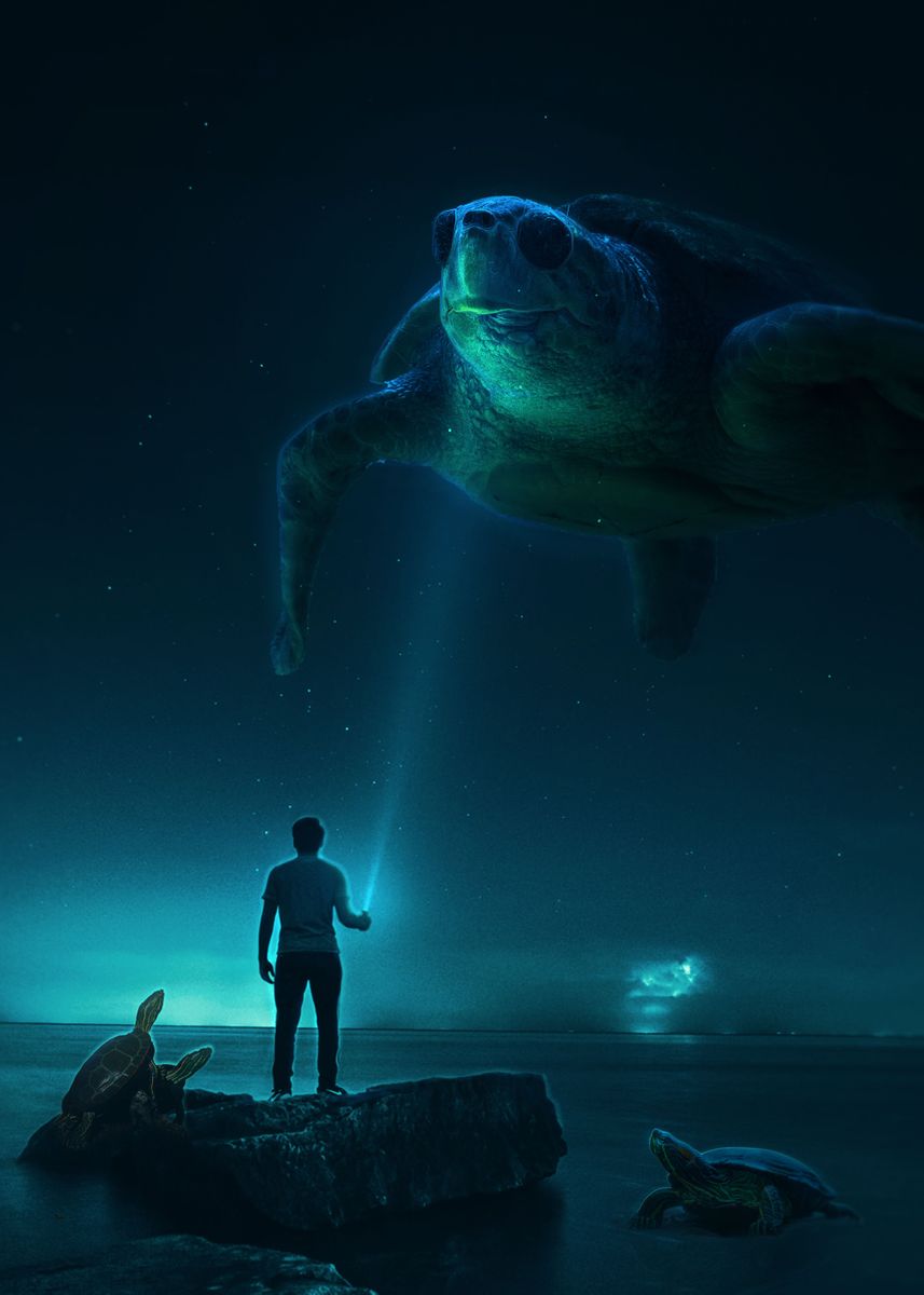 'Turtle by Night' Poster by vandervisuals | Displate