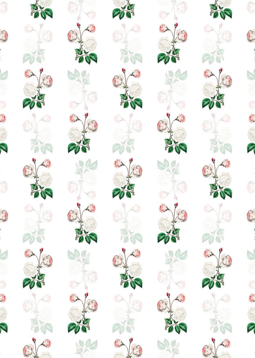 'Ruga Rose Flower Pattern' Poster, picture, metal print, paint by Holy ...