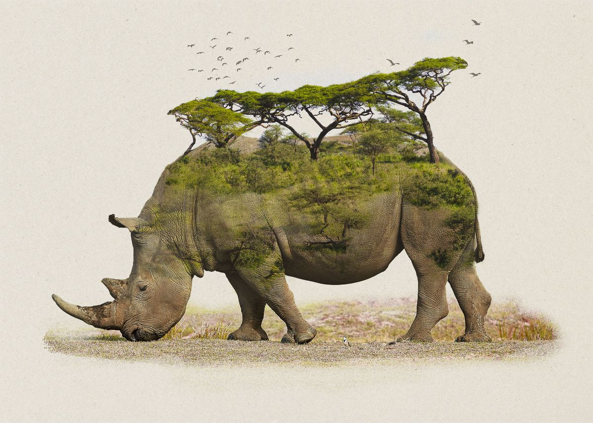 'Rhino Natural Habitat' Poster by Jon Alderman | Displate