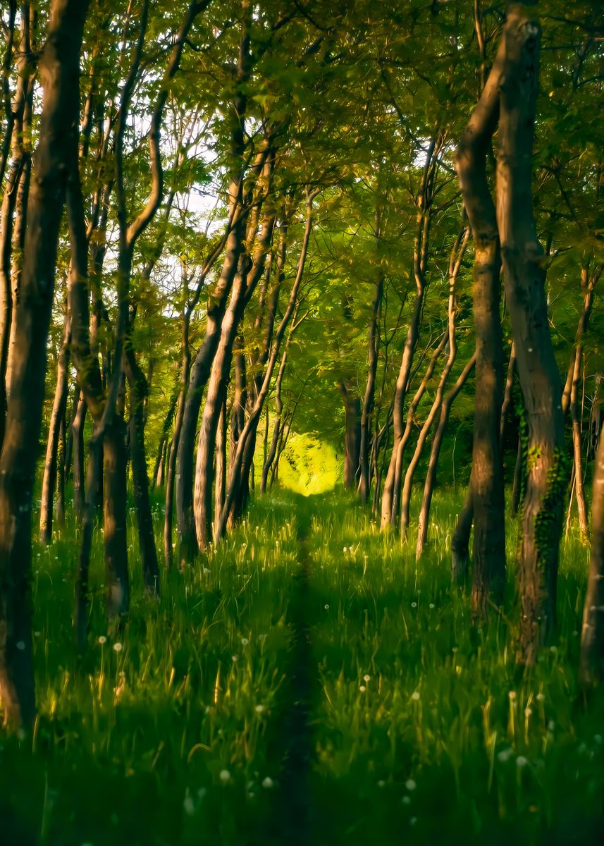 'Forest' Poster by Art Creative | Displate