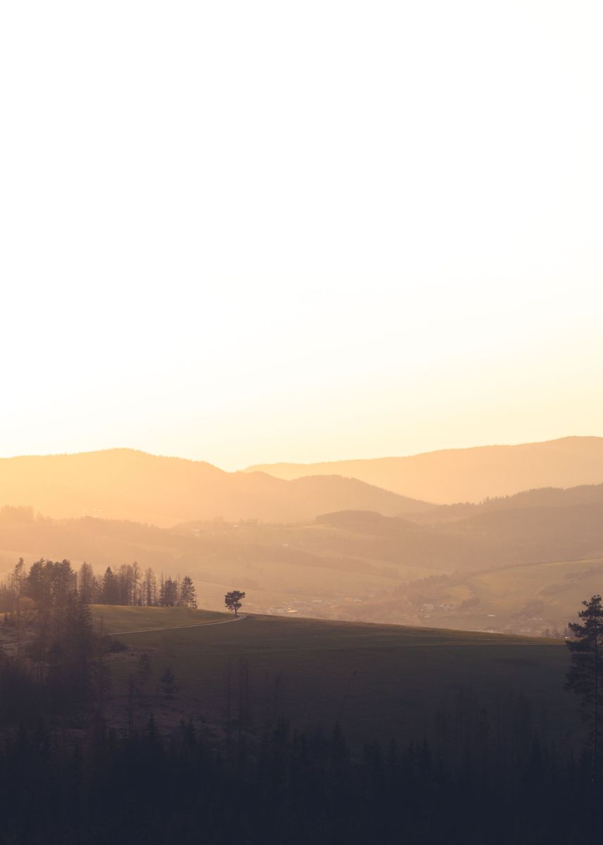 'Alone' Poster, picture, metal print, paint by 19thpic | Displate