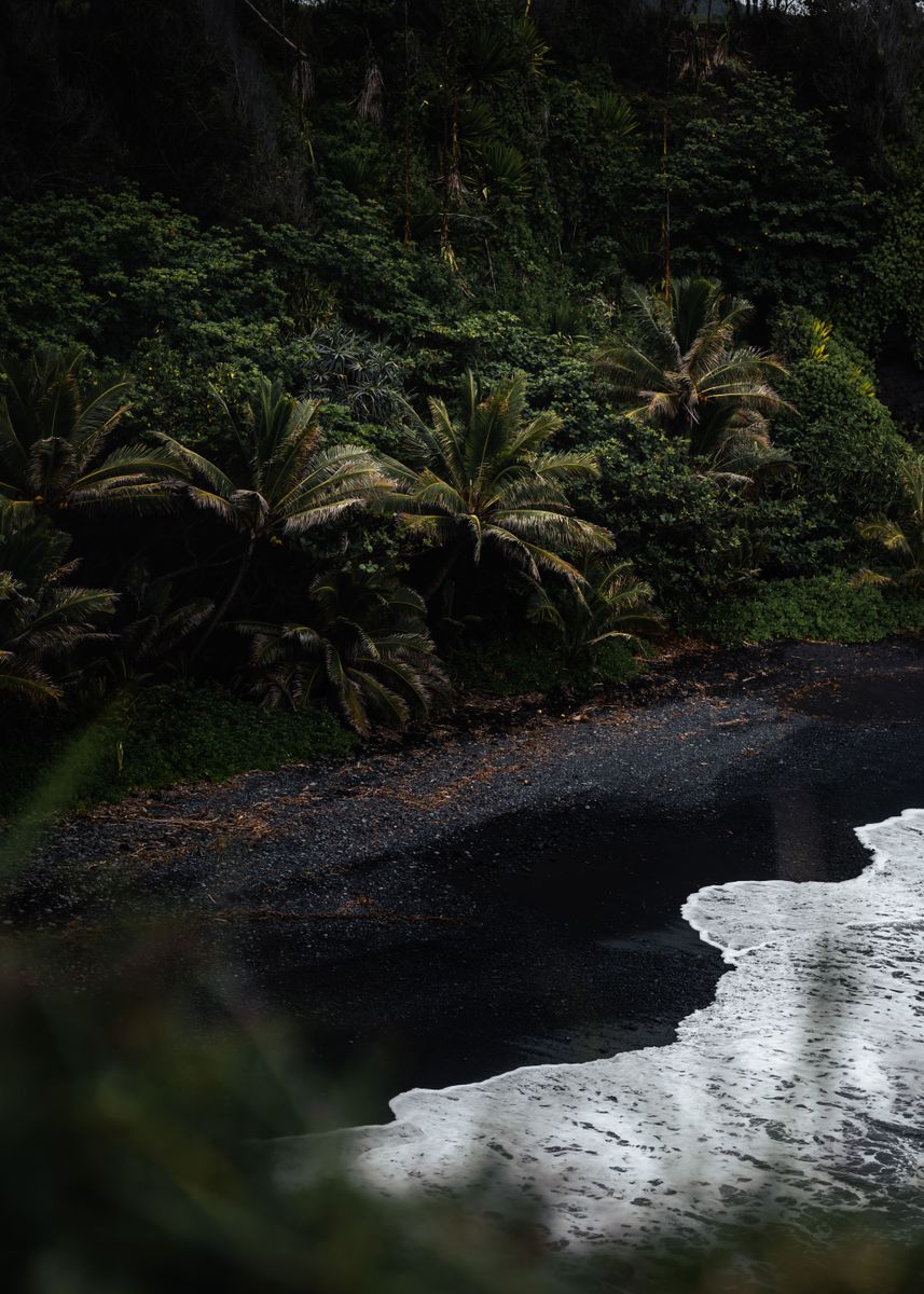 'Black Sand Beach' Poster, picture, metal print, paint by Lucas Moore ...