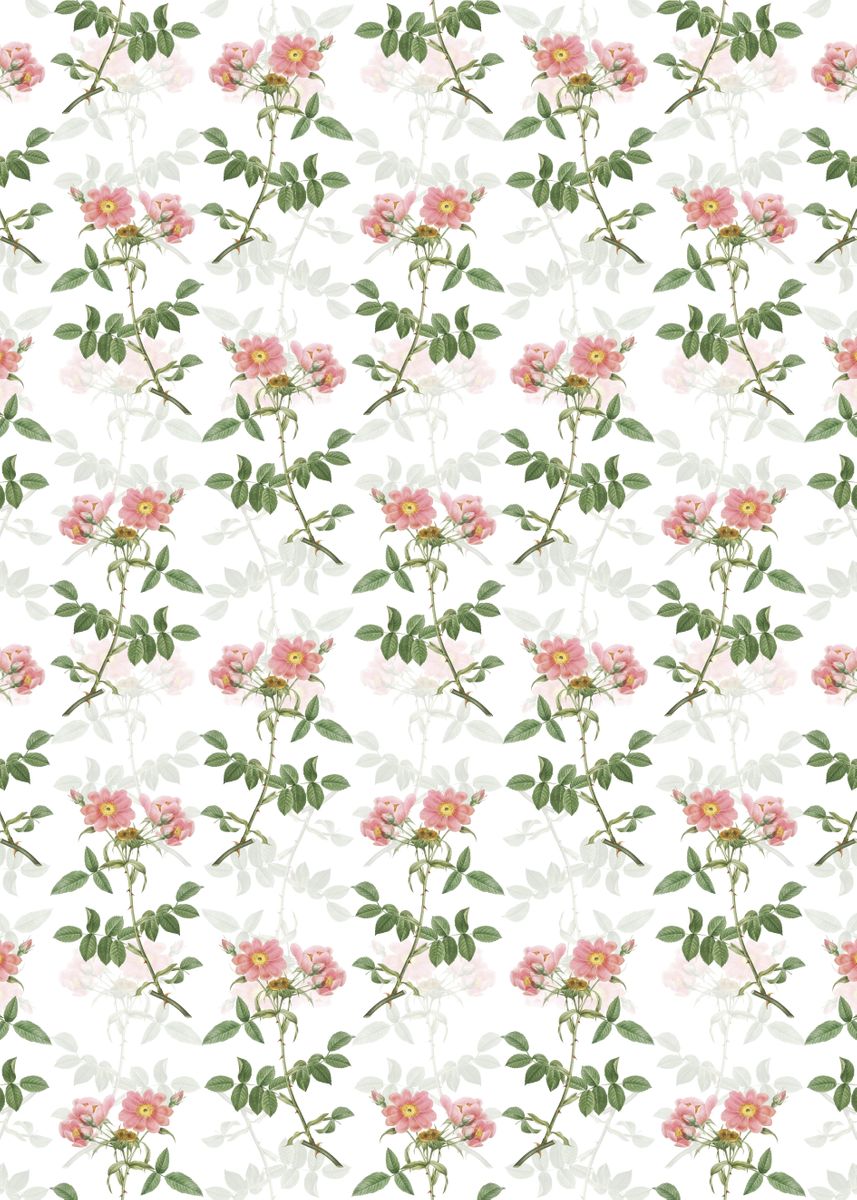 'Lady Monson Rose Bloom' Poster, picture, metal print, paint by Holy ...